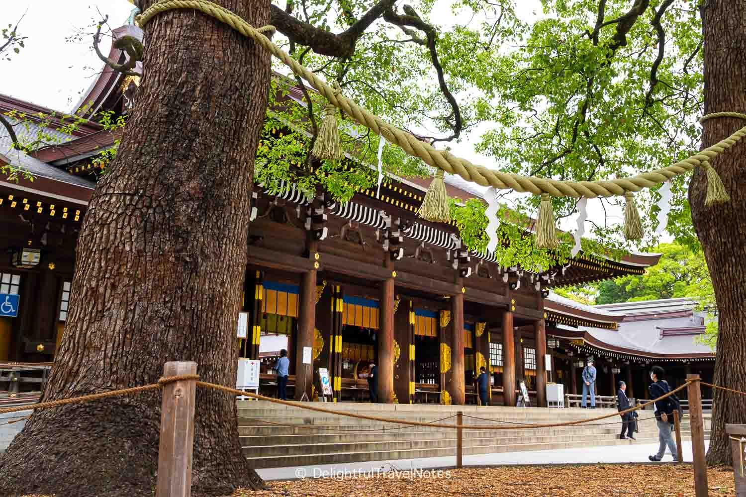 Santuario Meiji & Parque Yoyogi - Japandas